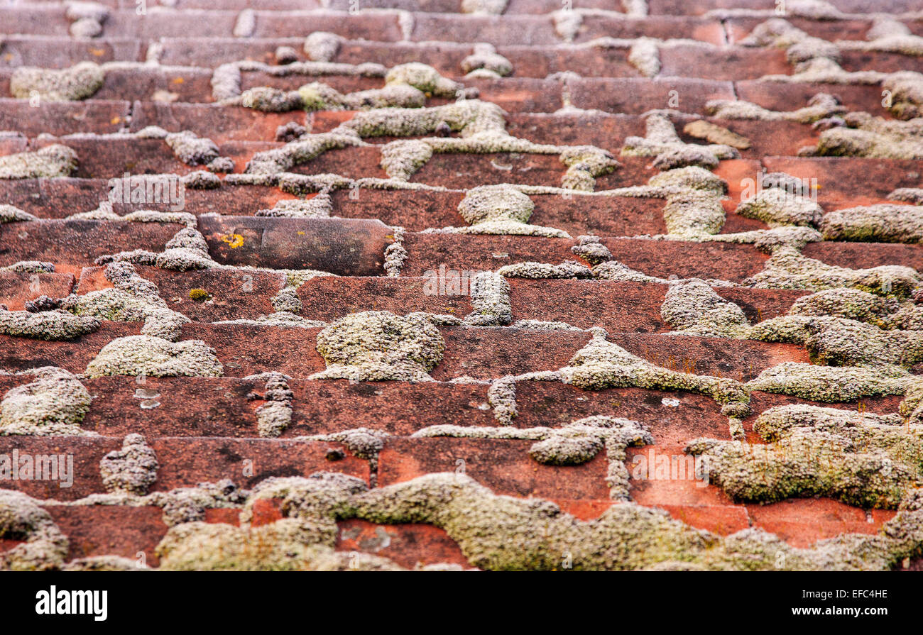 Frost damage to tiles hi-res stock photography and images - Alamy