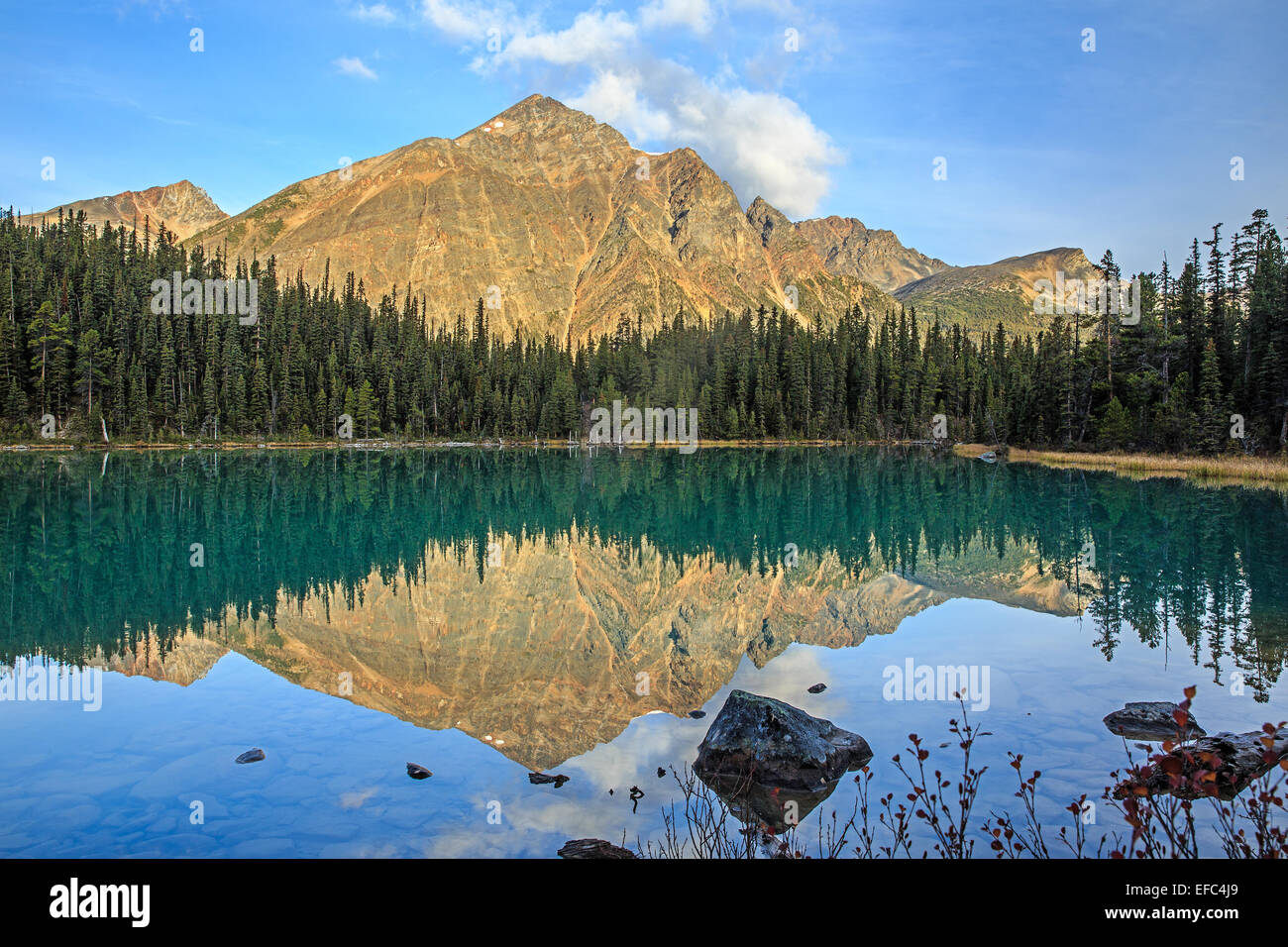Edith Cavell Lake Stock Photo - Alamy
