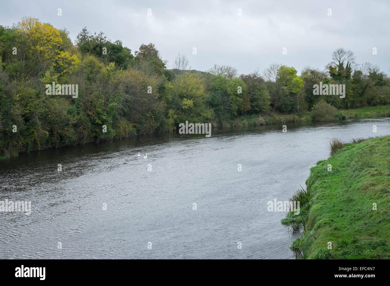 Boyne river in Co Meath Stock Photo - Alamy