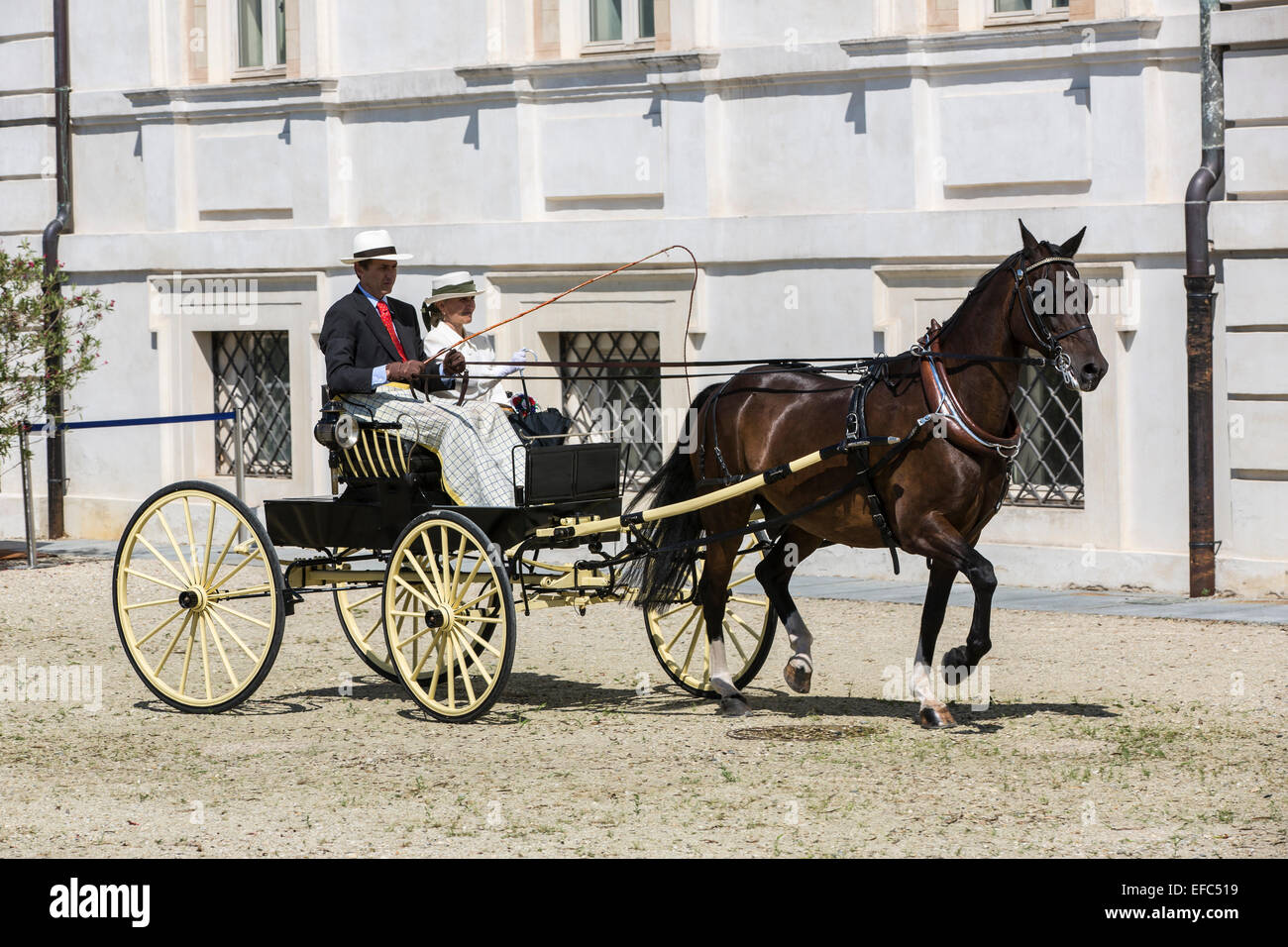 American horse and carriage hi-res stock photography and images - Alamy
