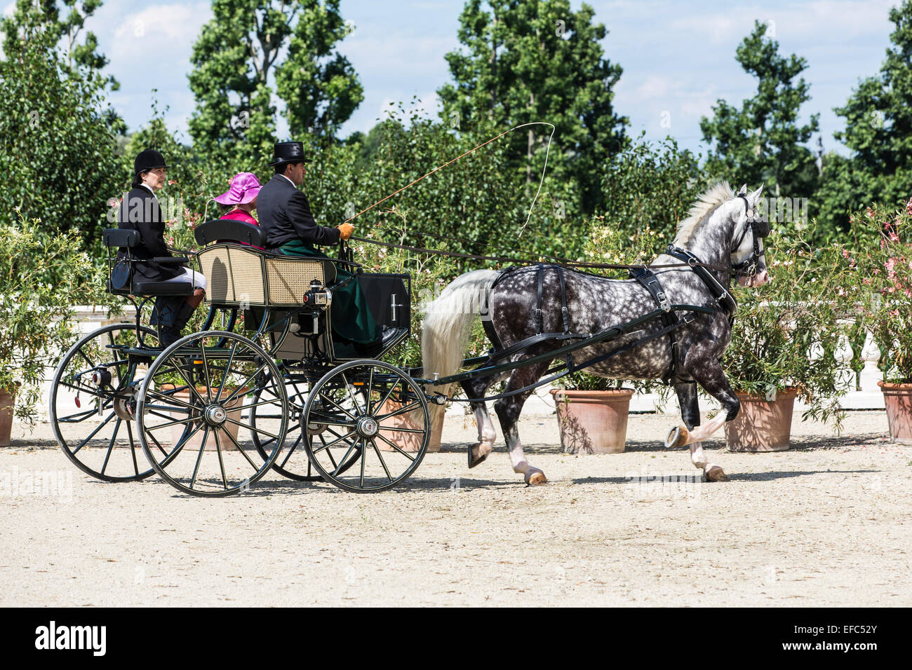 International competition for traditional carriages "La Venaria Reale ...