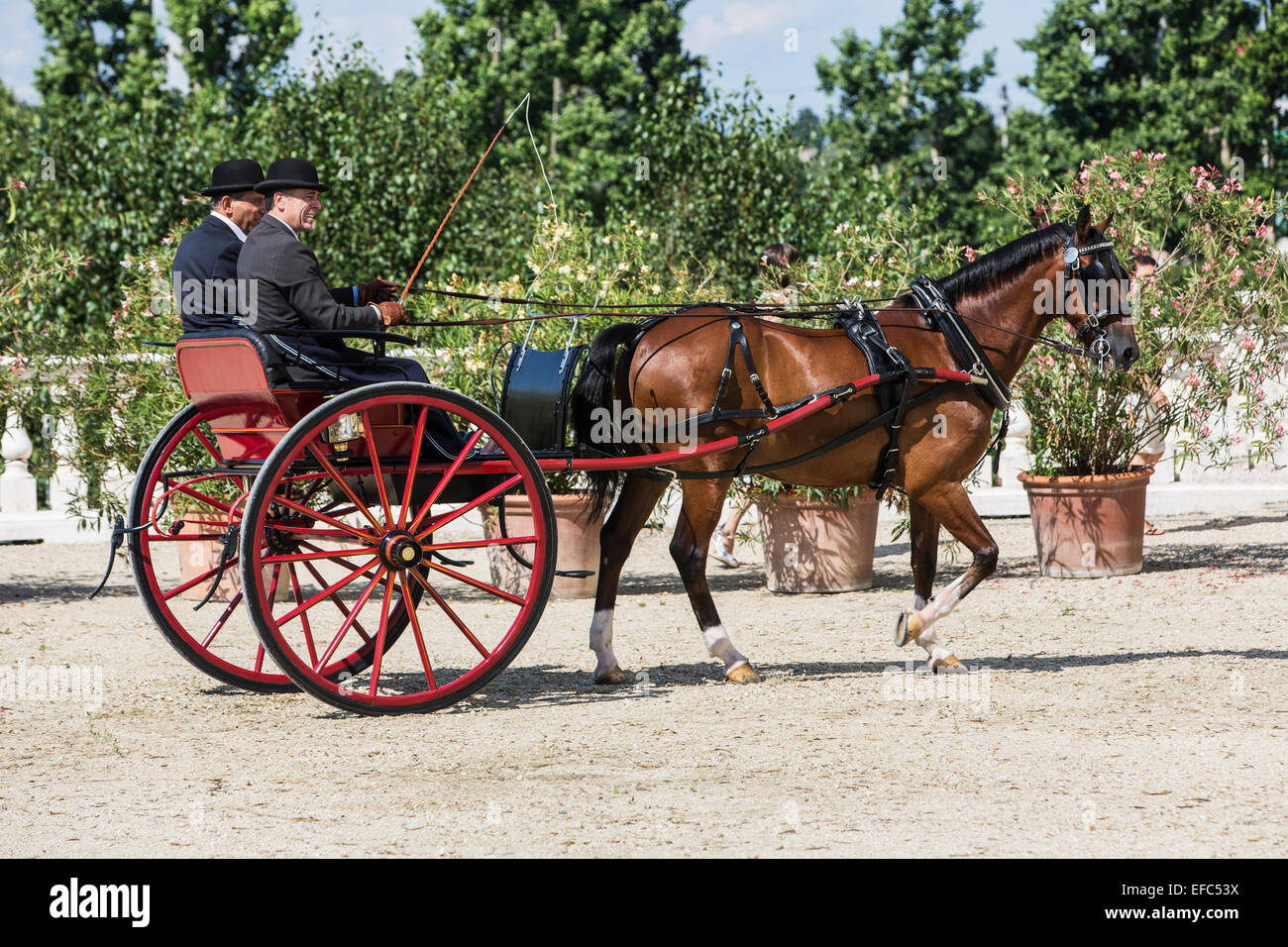 International competition for traditional carriages "La Venaria Reale ...