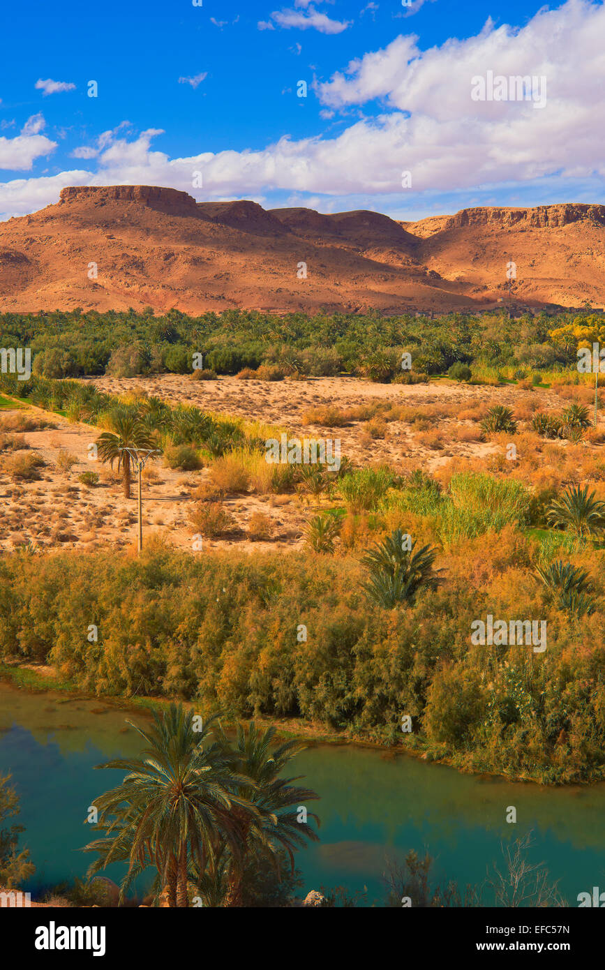 Tafilalet oasis tafilalt oasis ziz hi-res stock photography and images ...
