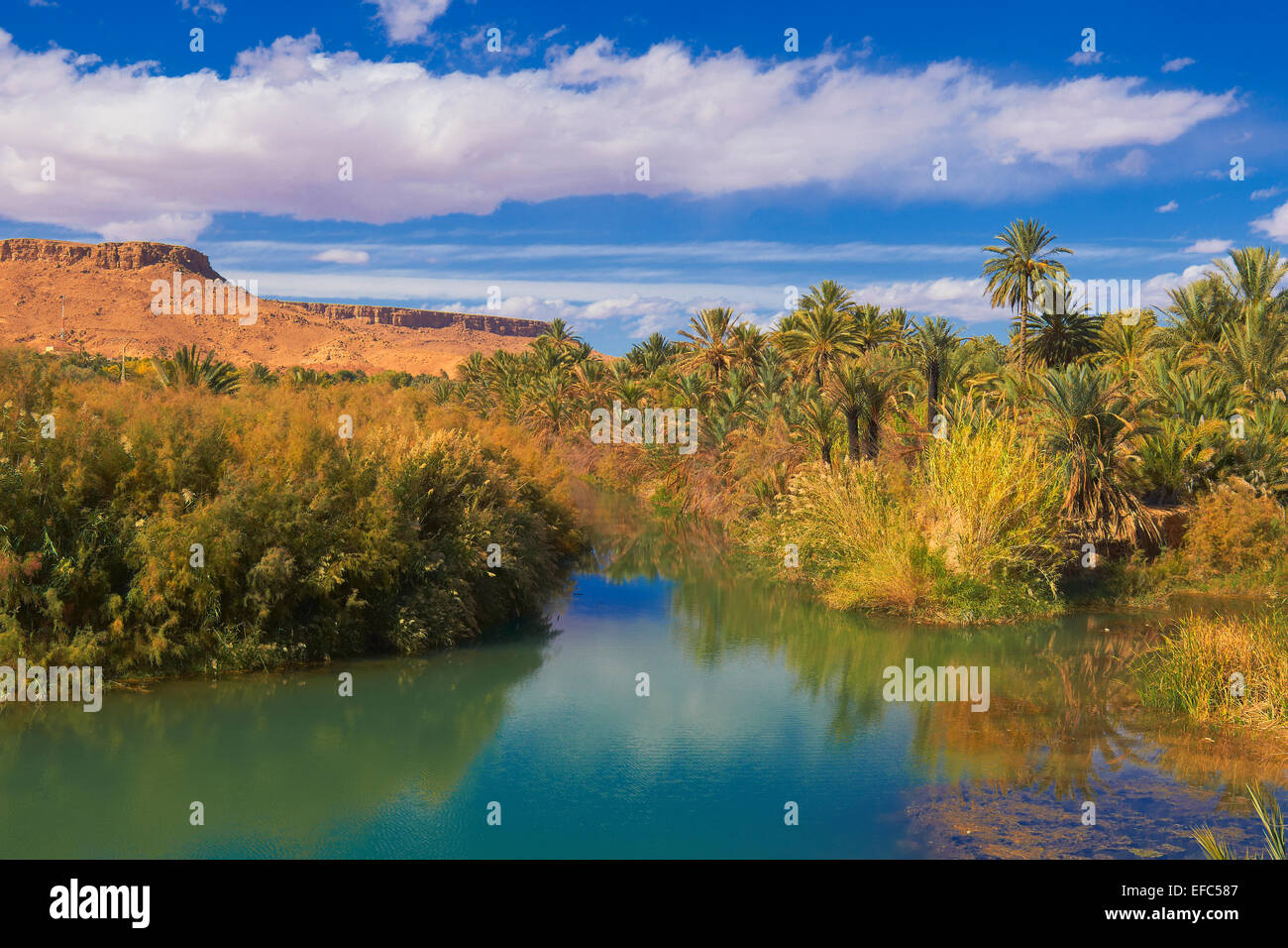 Tafilalet oasis tafilalt oasis ziz hi-res stock photography and images ...