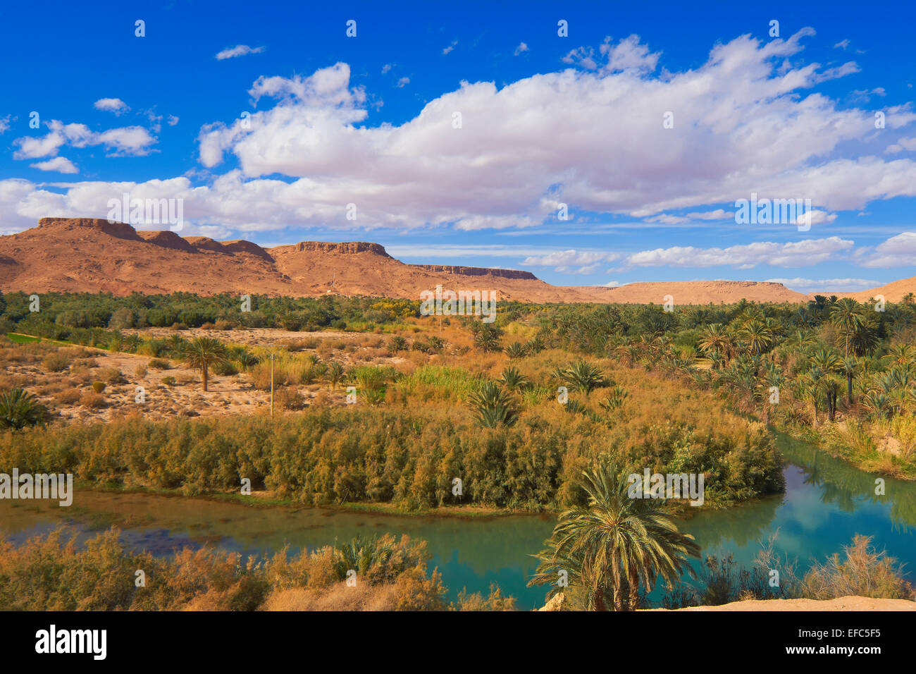 Tafilalet oasis tafilalt oasis ziz hi-res stock photography and images ...