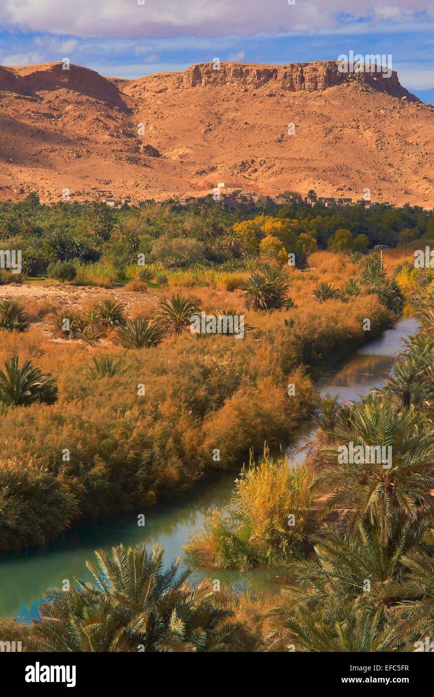 Tafilalet Oasis, Tafilalt Oasis, Ziz River, Gorges du Ziz, Ziz Valley ...