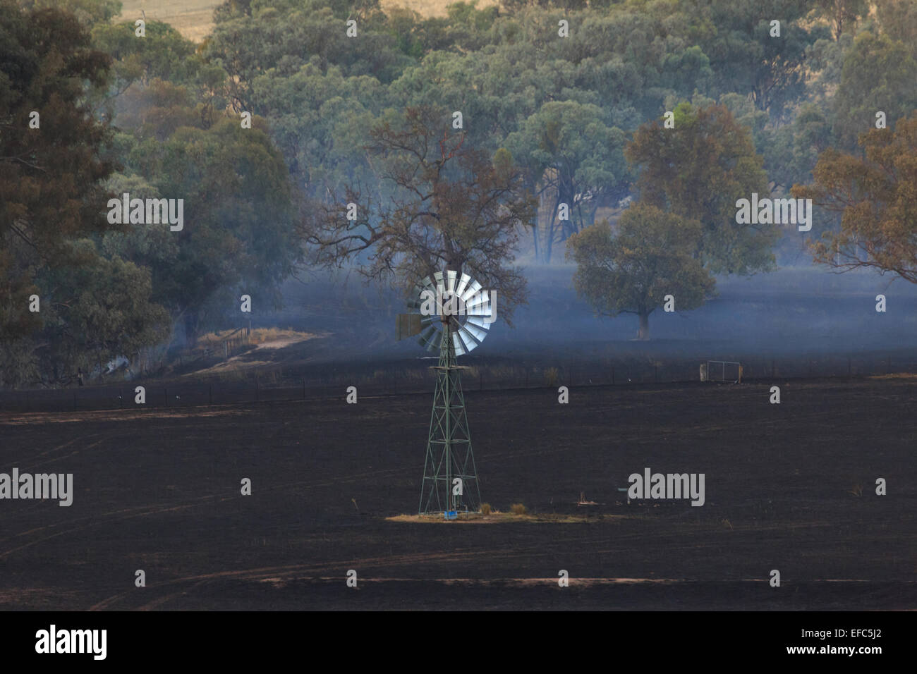 A photograph of the aftermath of a bush fire on a dry Australian farm ...