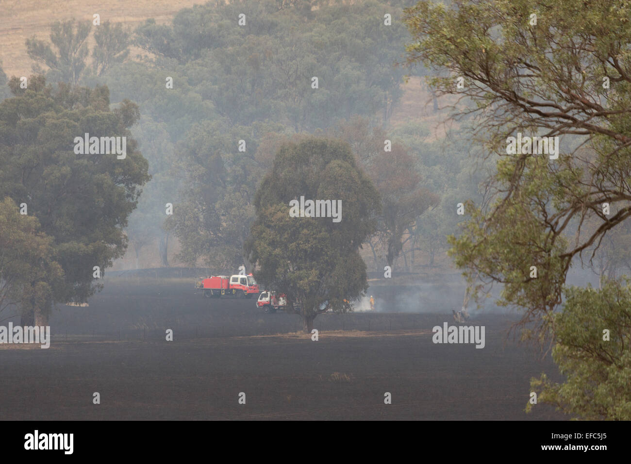 A photograph of the aftermath of a bush fire on a dry Australian farm ...