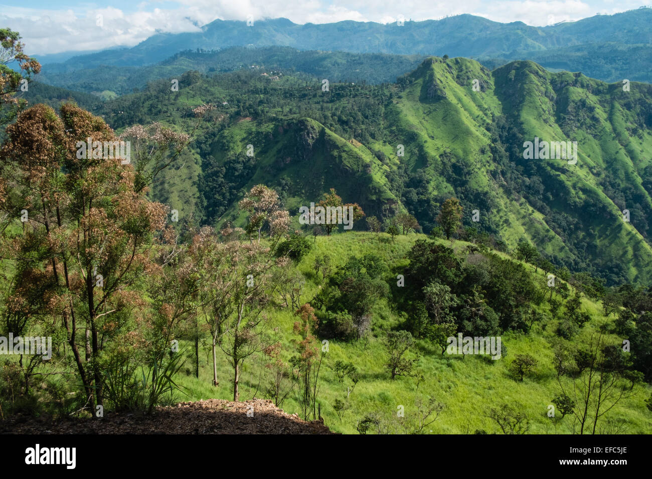 View from Adam's Peak.green scenery.Hill,mount,mountain.Ella Gap Stock ...