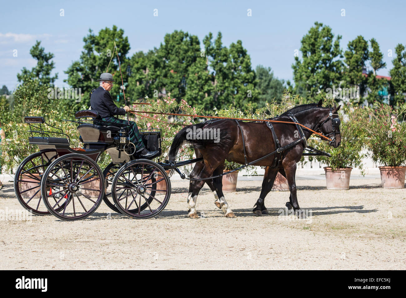 International competition for traditional carriages "La Venaria Reale ...