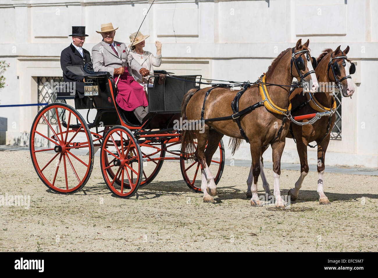 Phaeton carriage hi-res stock photography and images - Alamy