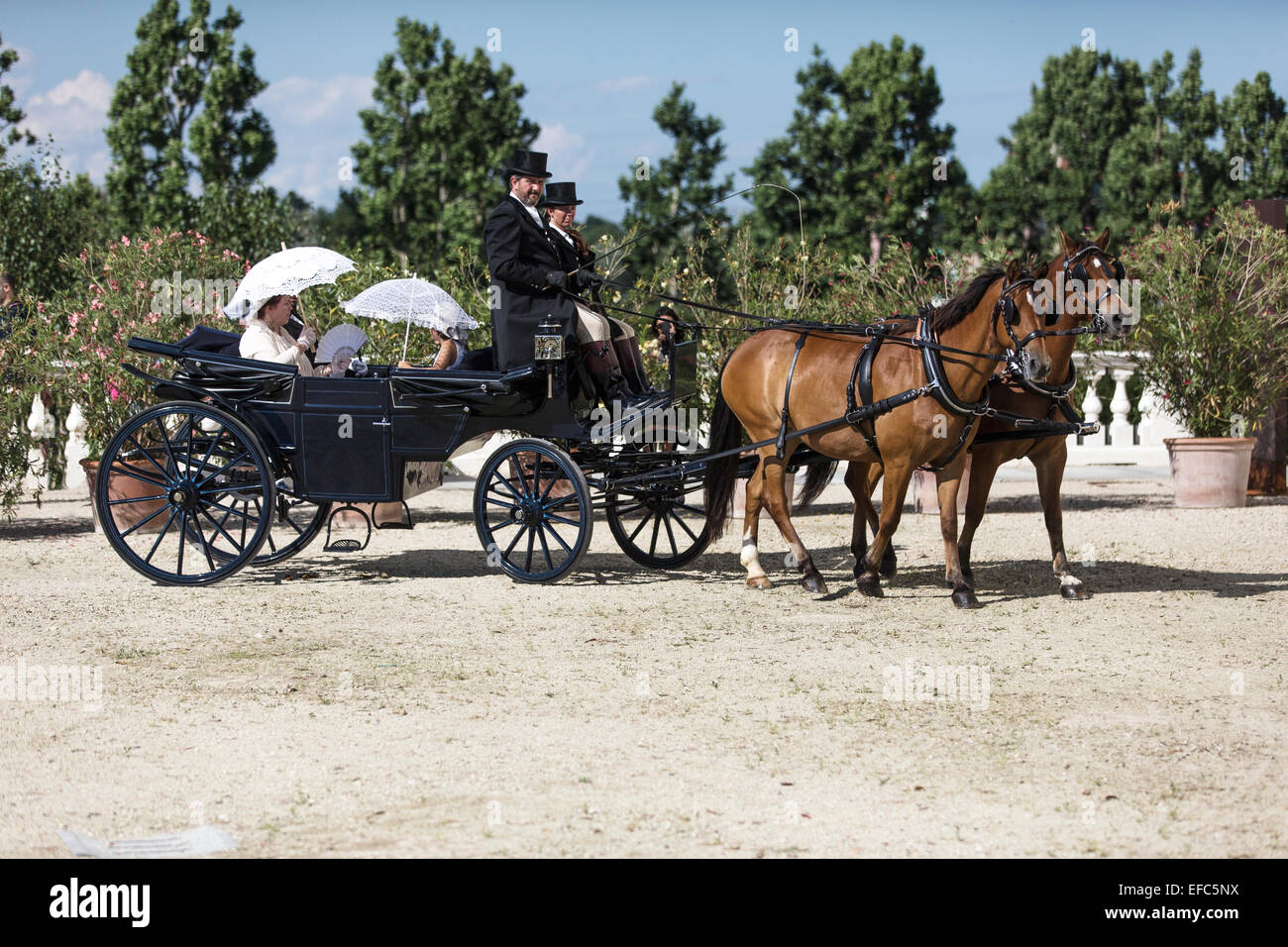 Landau carriage hi-res stock photography and images - Alamy