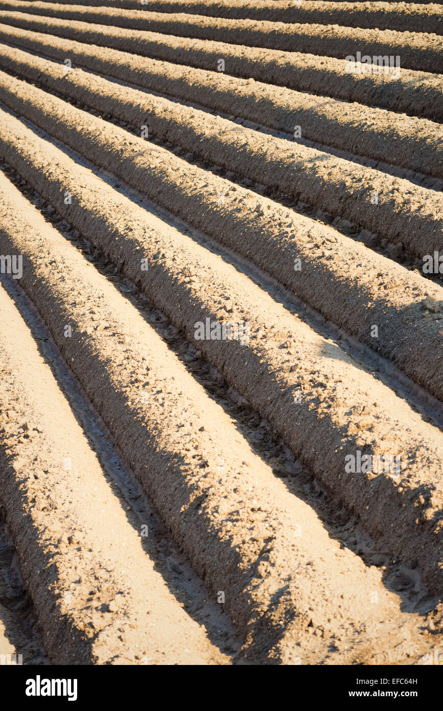 Full frame take of deep freshly ploughed furrows Stock Photo - Alamy