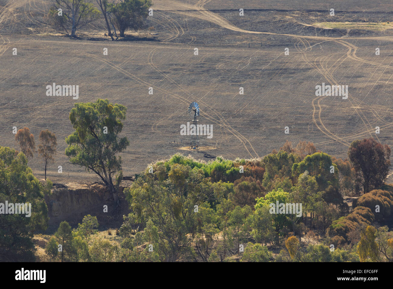 A photograph of the aftermath of a bush fire on a dry Australian farm ...