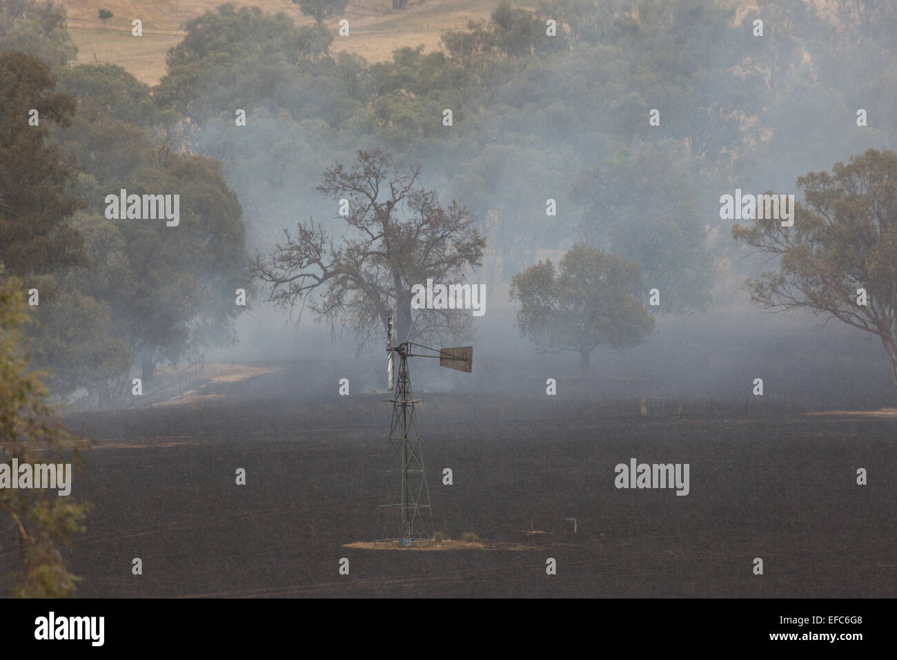 A photograph of the aftermath of a bush fire on a dry Australian farm ...