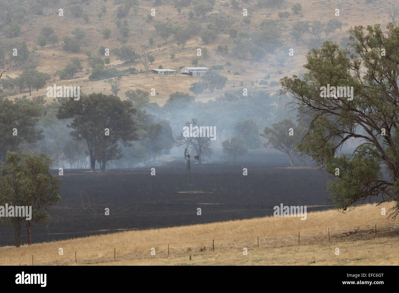 A photograph of the aftermath of a bush fire on a dry Australian farm ...