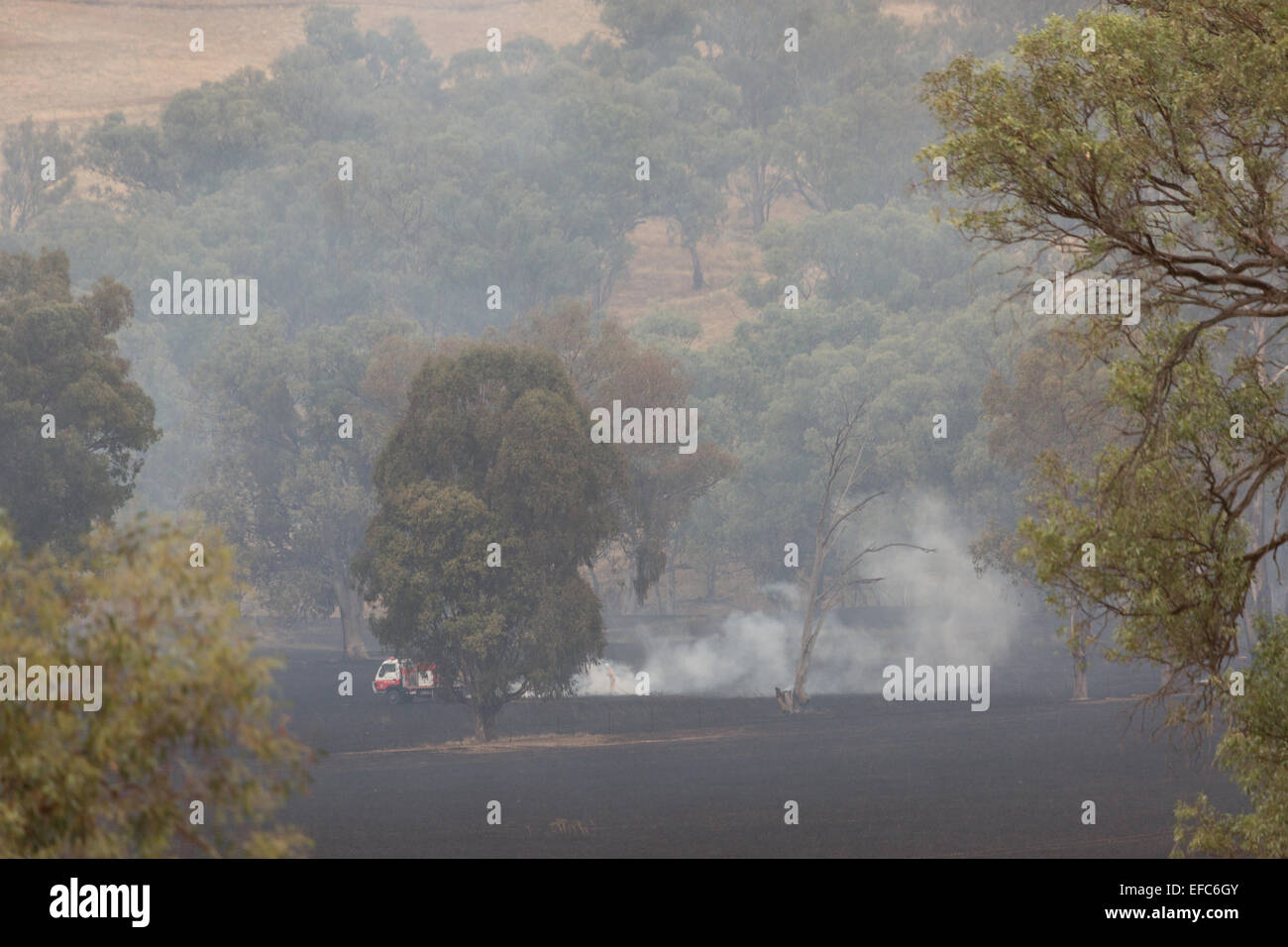 A photograph of the aftermath of a bush fire on a dry Australian farm ...