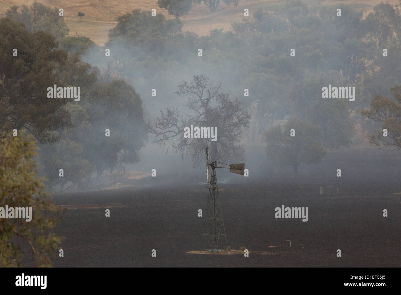 A photograph of the aftermath of a bushfire on a dry Australian farm in ...