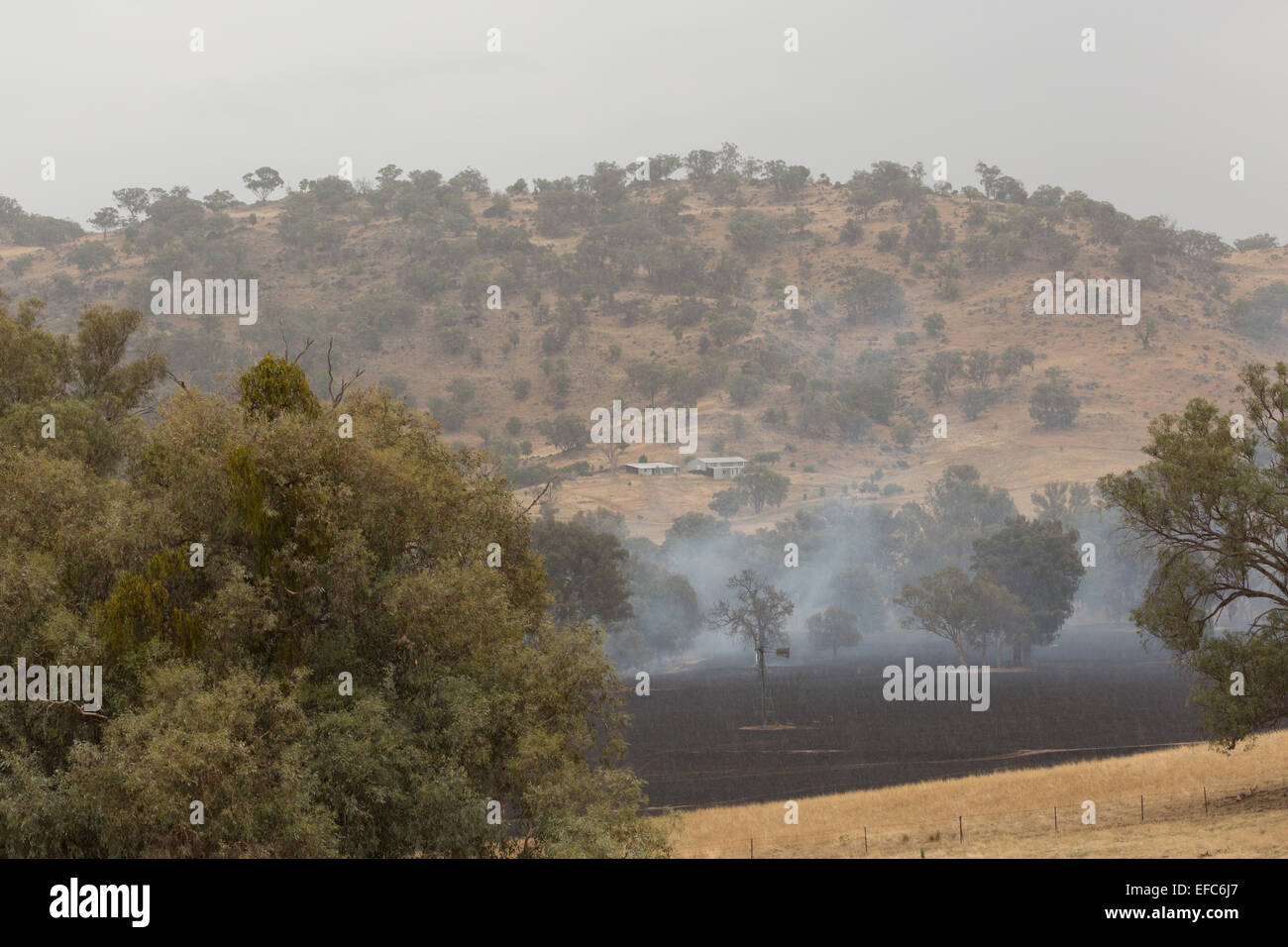 A photograph of the aftermath of a bush fire on a dry Australian farm ...