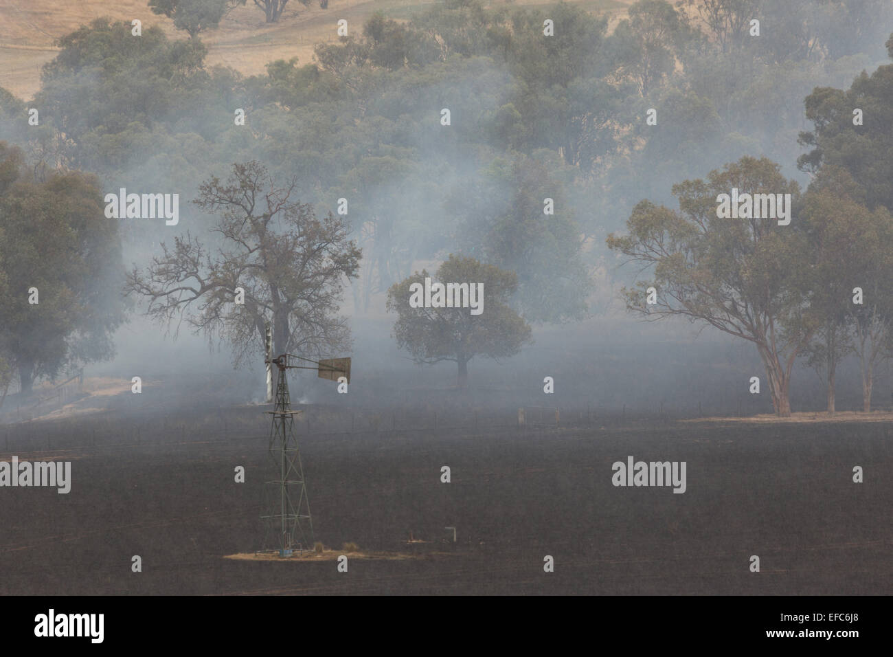 A photograph of the aftermath of a bush fire on a dry Australian farm ...
