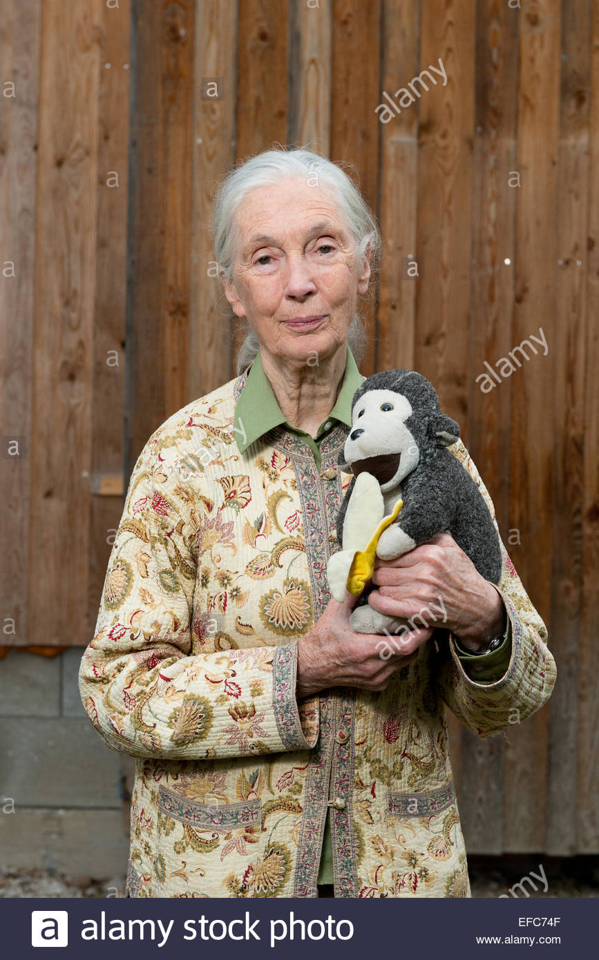 Jane Goodall Stock Photos & Jane Goodall Stock Images - Alamy