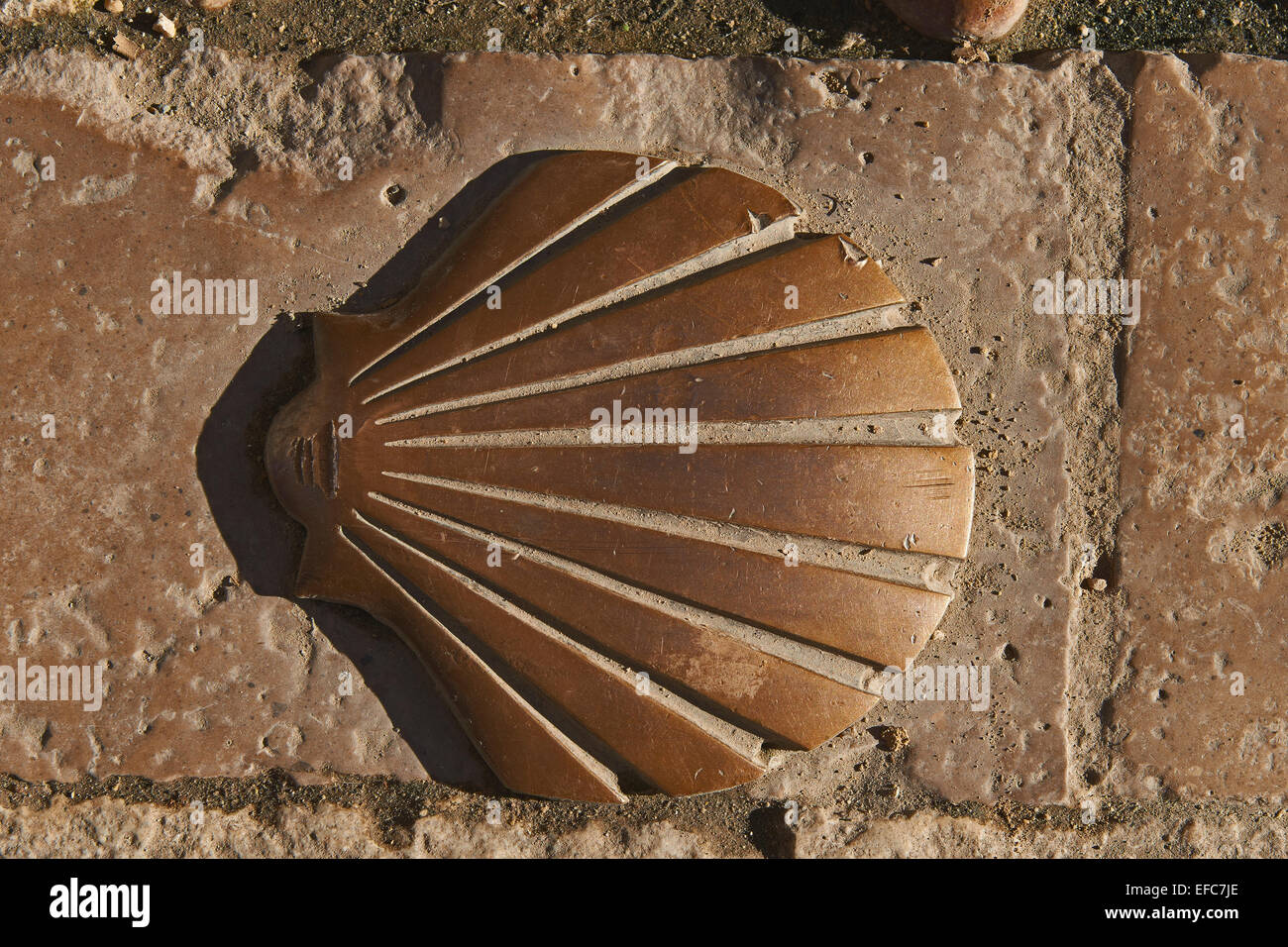 Saint James way shell, Emblem of St James Way, Estella, Navarra, Way Of ...