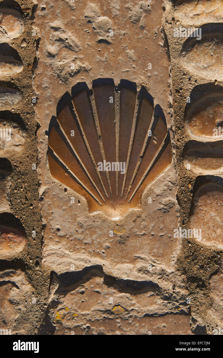 Saint James way shell, Emblem of St James Way, Estella, Navarra, Way Of ...