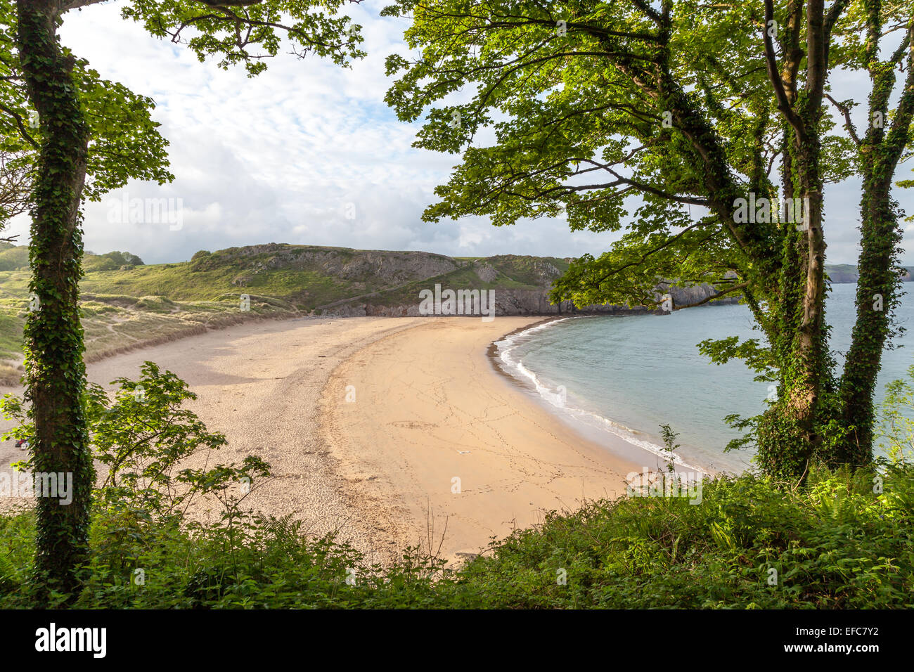Barafundle, Pembrokeshire Coast, Wales Stock Photo - Alamy