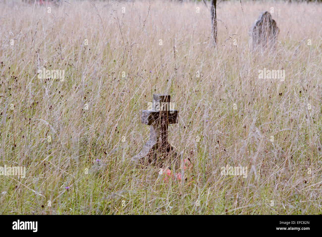 Neglected grave buried in long grass at Bedford cemetery, Bedford ...