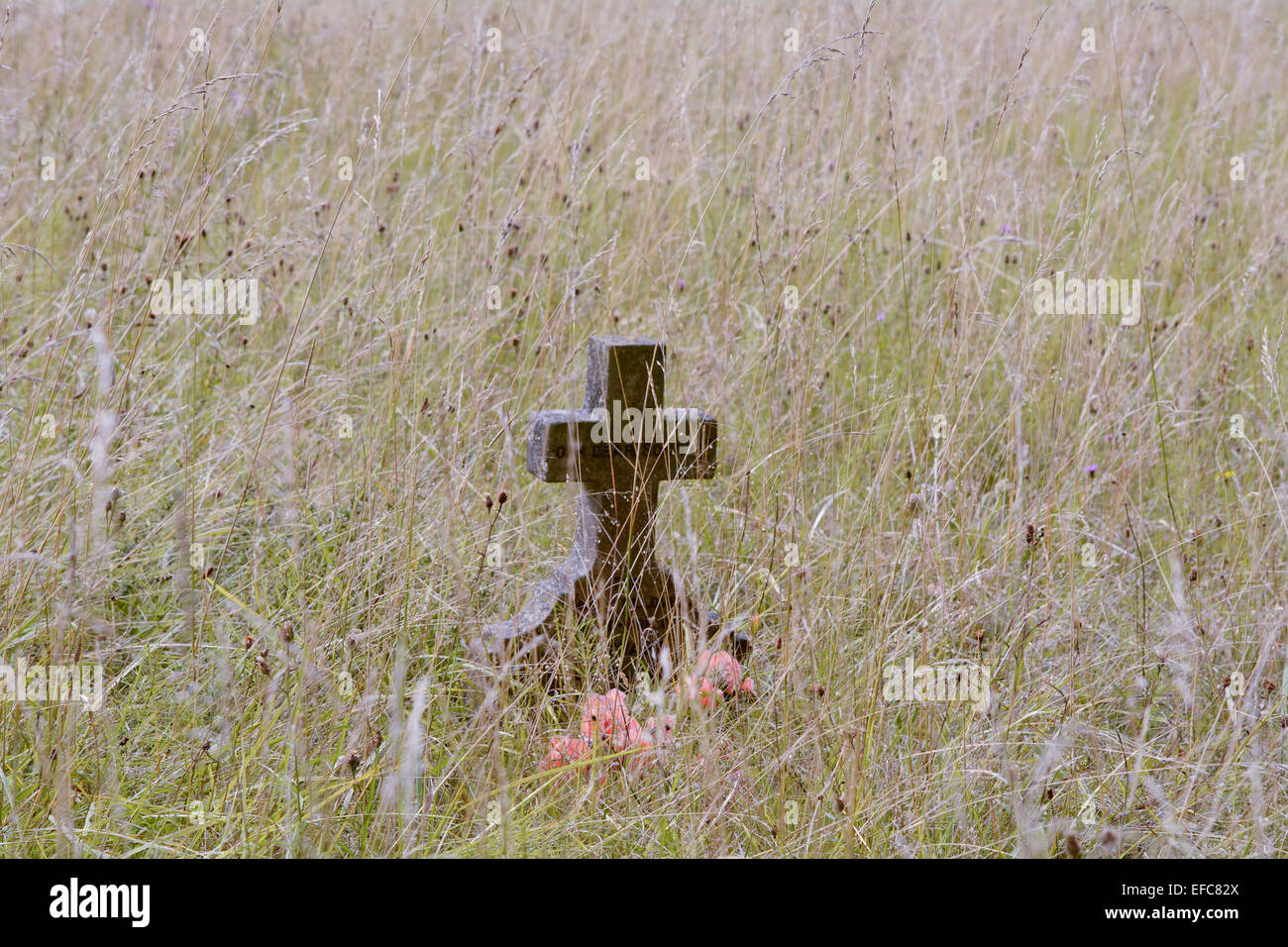 Neglected grave buried in long grass at Bedford cemetery, Bedford ...