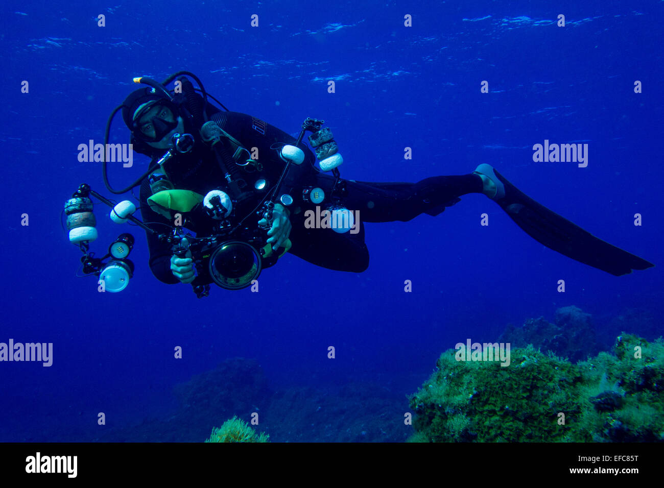 underwater, ocean, sea, photographer, camera man Stock Photo - Alamy