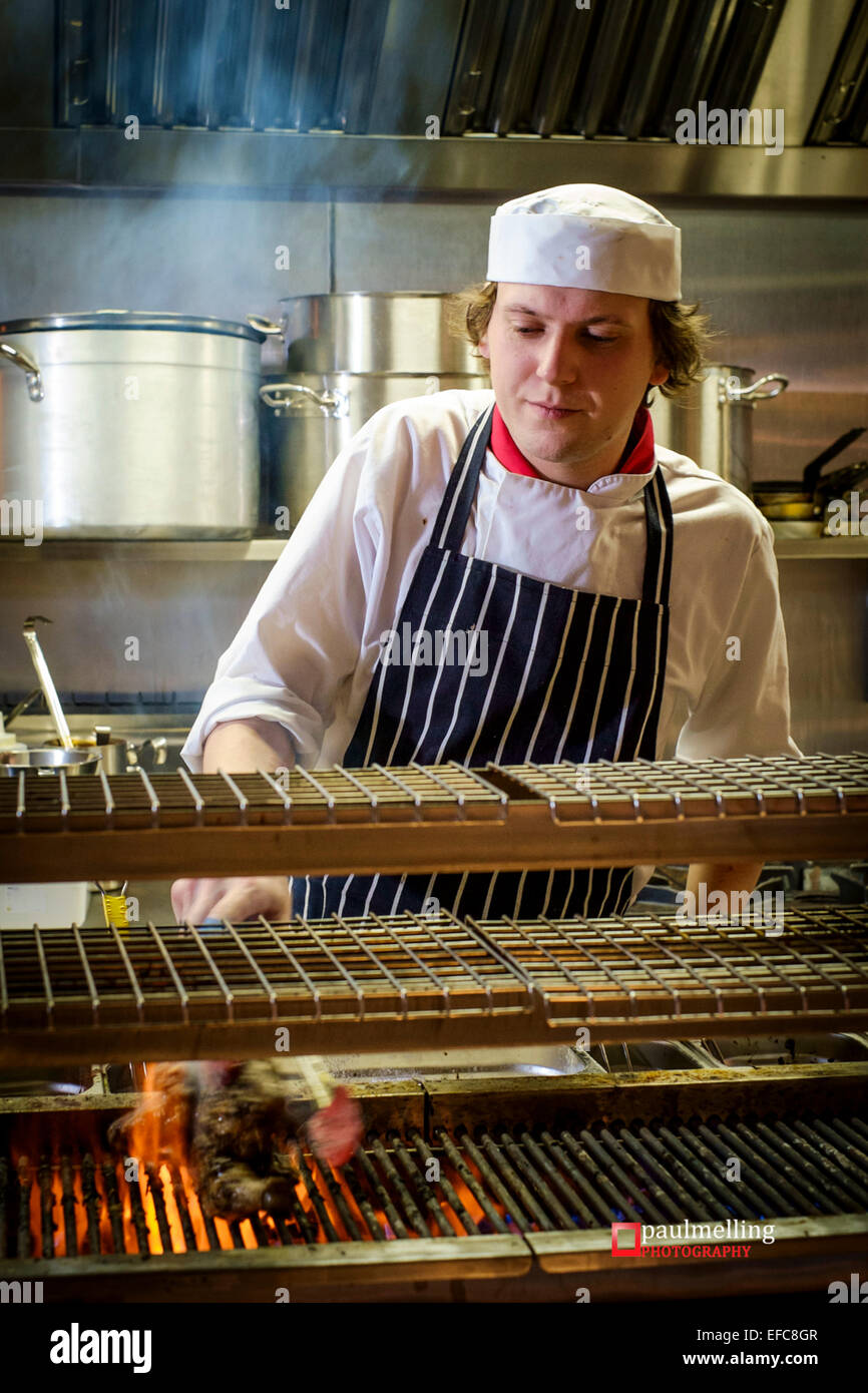 Chicken turtle hi-res stock photography and images - Alamy