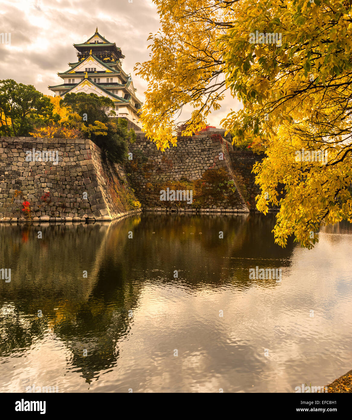 Autumn In Osaka Castle High Resolution Stock Photography and Images - Alamy