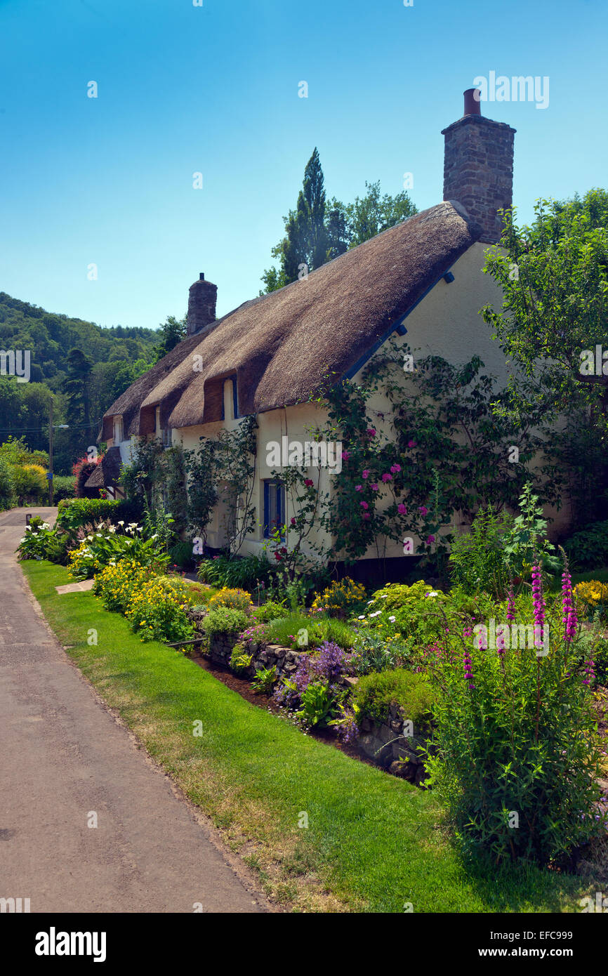 Thatched cottage dunster somerset england hi-res stock photography and ...