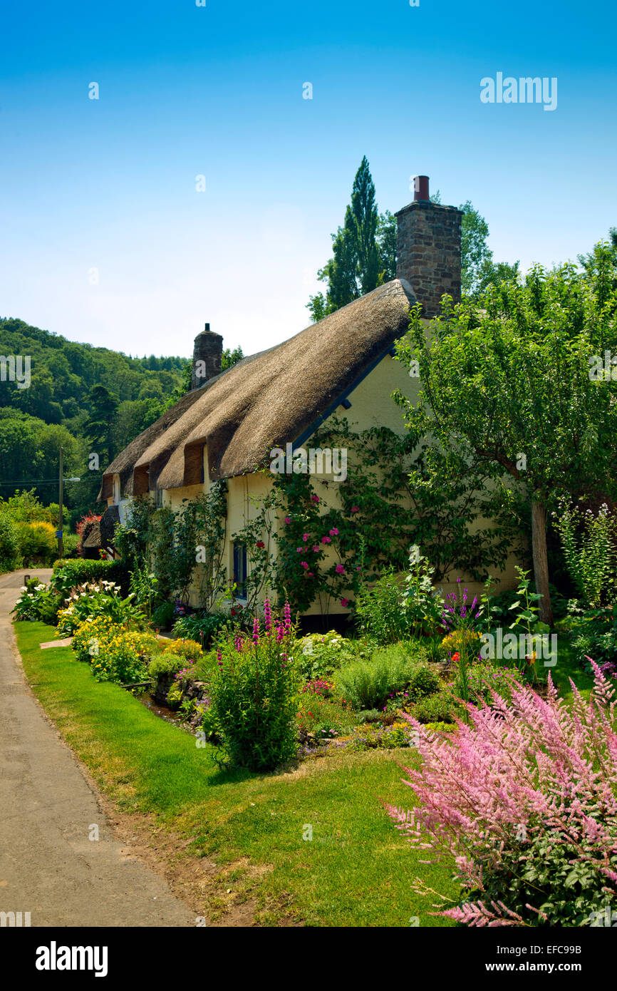 A picturesque thatched cottage and garden in Dunster, Somerset, England ...