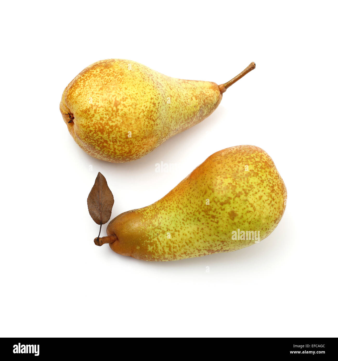 Top view pear leaf Cut Out Stock Images & Pictures - Alamy