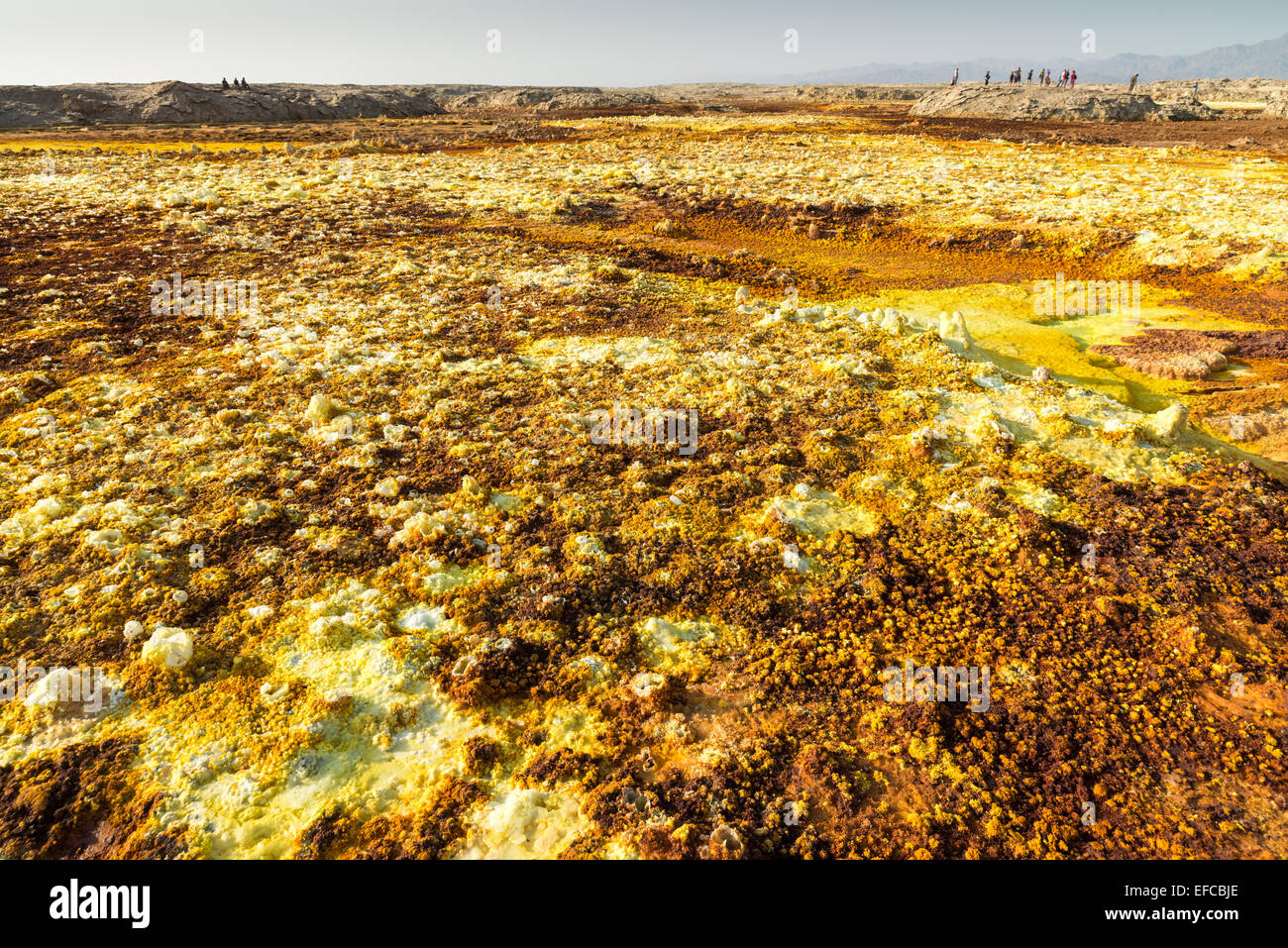 Salt marsh biotopes hi-res stock photography and images - Alamy