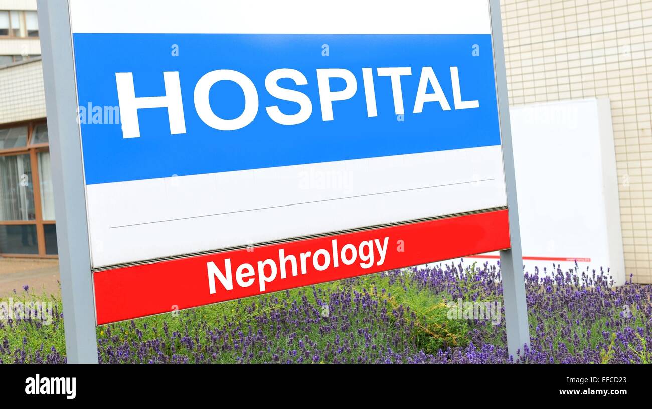 Nephrology hi-res stock photography and images - Alamy