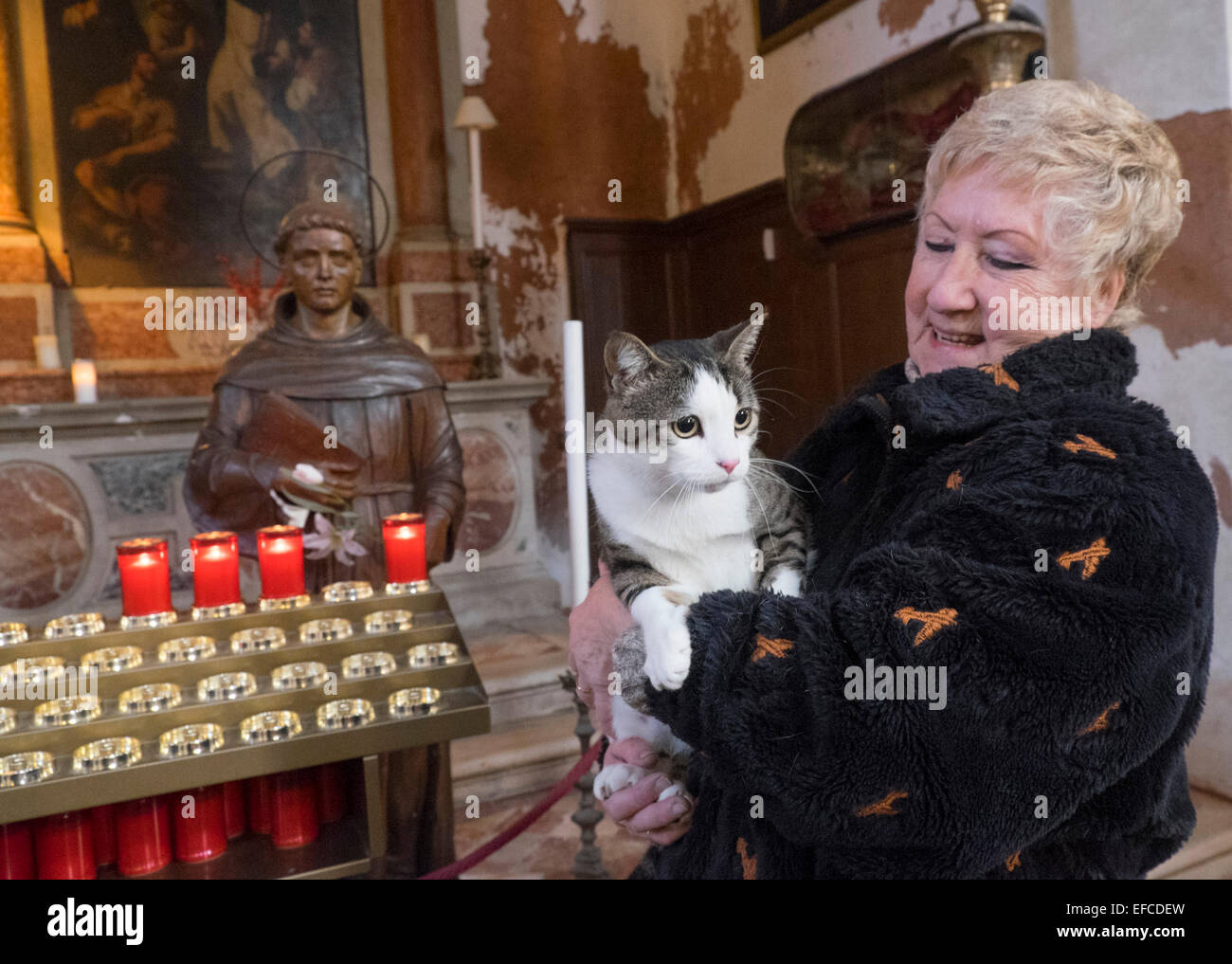 Cat and church hi-res stock photography and images - Alamy
