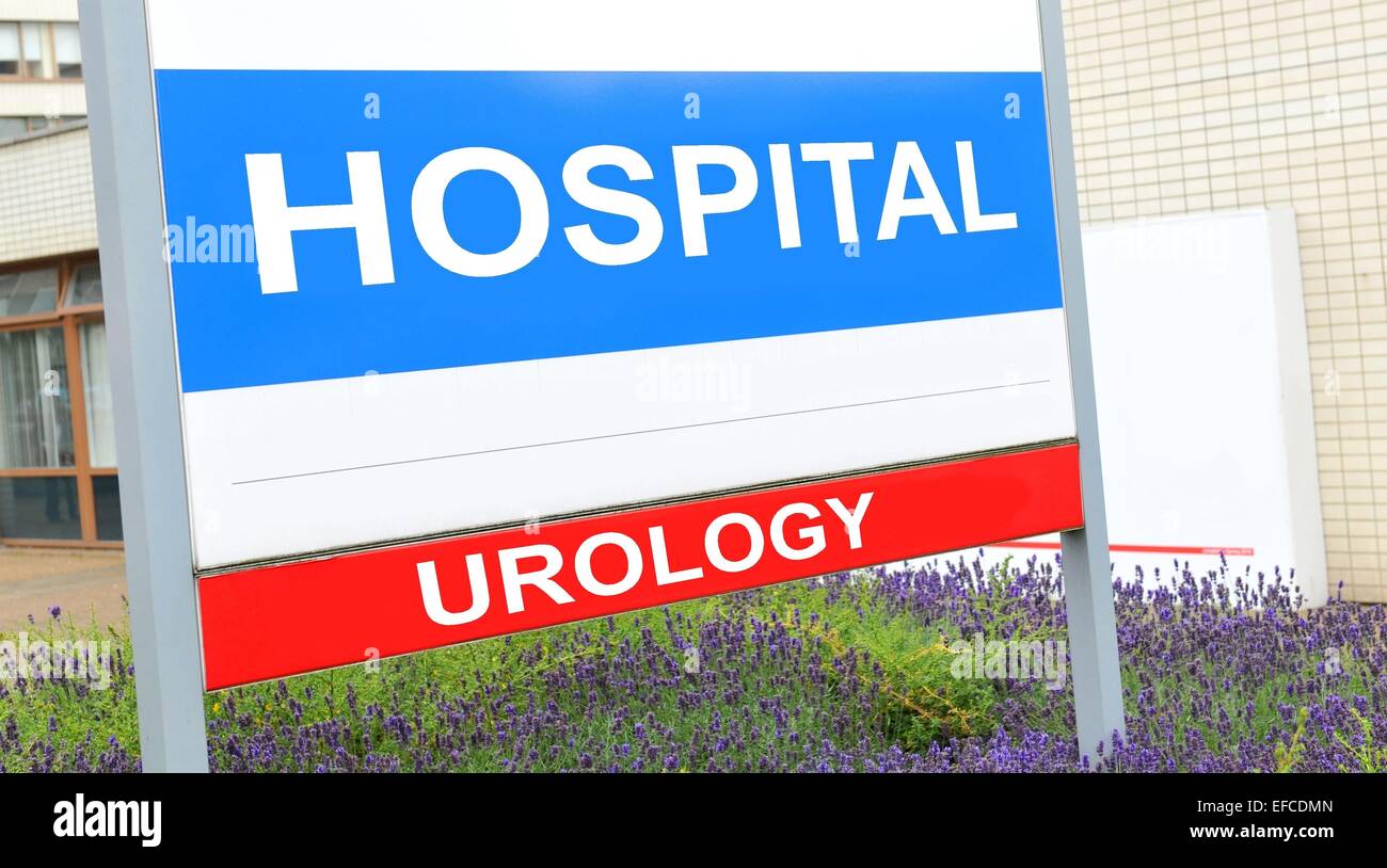 Urology sign at the hospital Stock Photo - Alamy