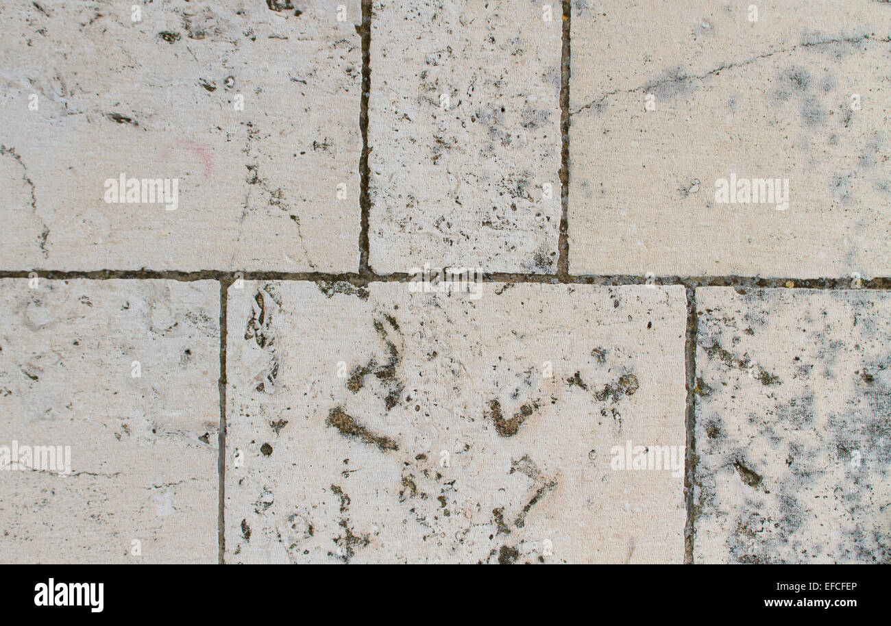 Detail of the white stone wall Stock Photo - Alamy