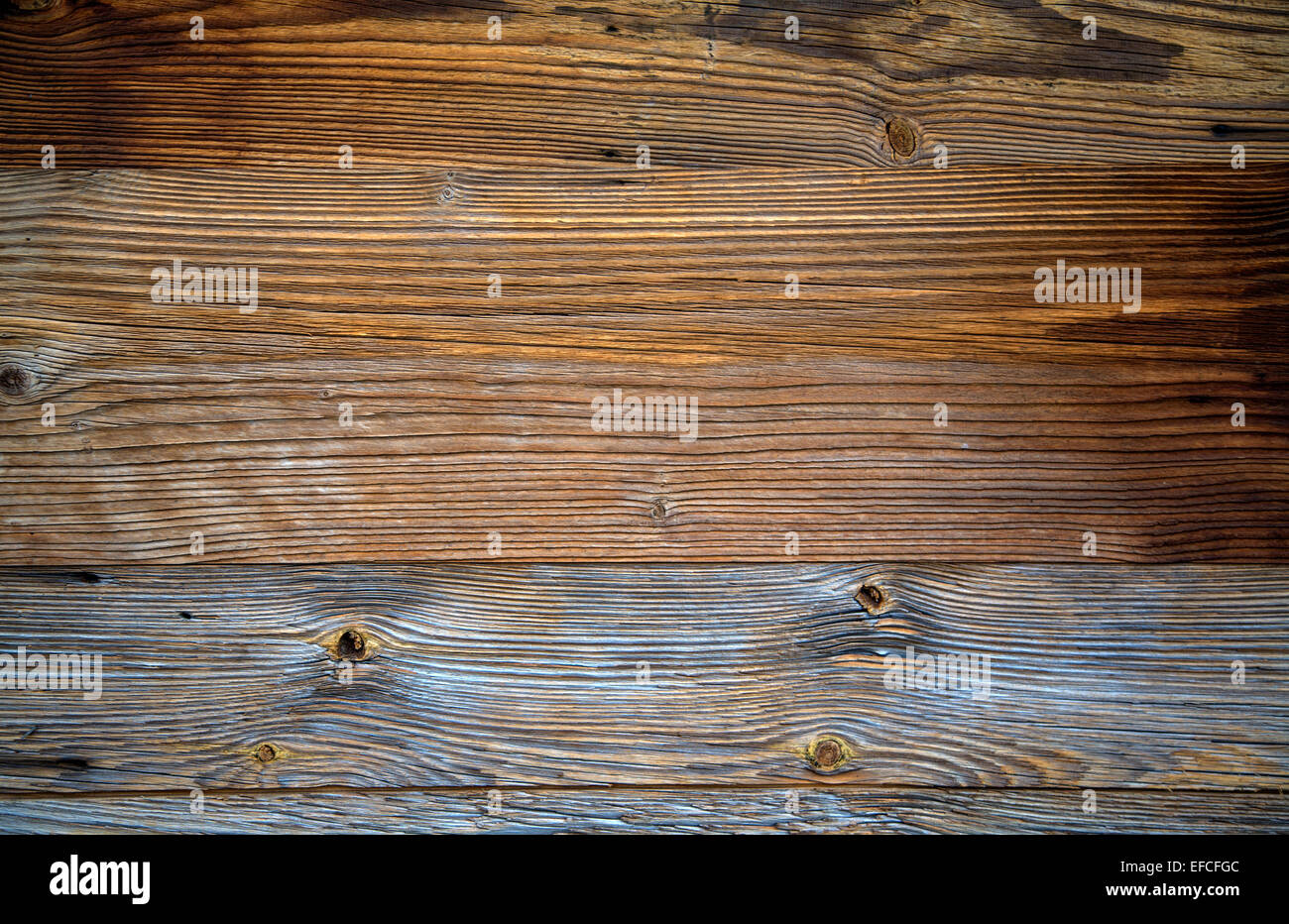 Close up view at the wooden texture Stock Photo - Alamy