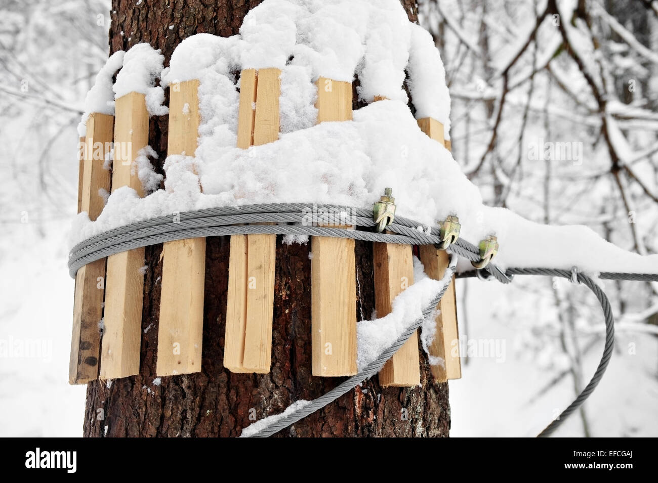 Cable tree hi-res stock photography and images - Alamy