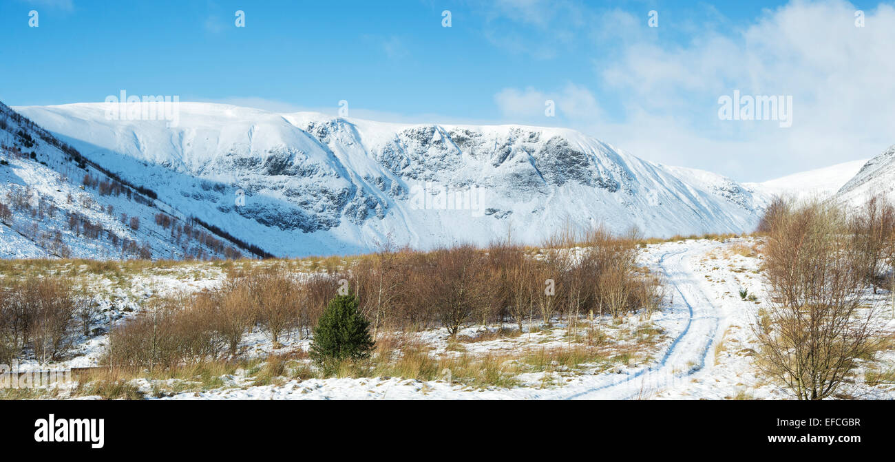 Yarrow valley scotland mountains hi-res stock photography and images ...