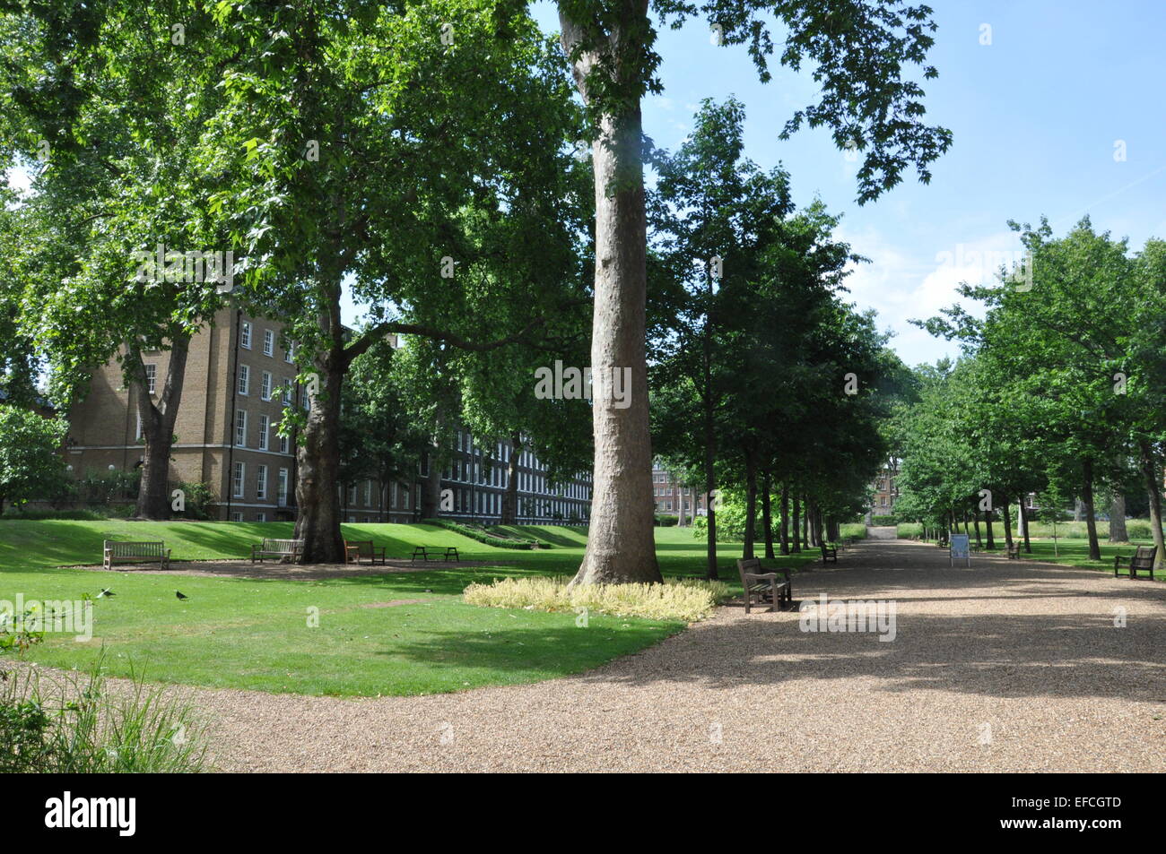 London grays inn square hi-res stock photography and images - Alamy