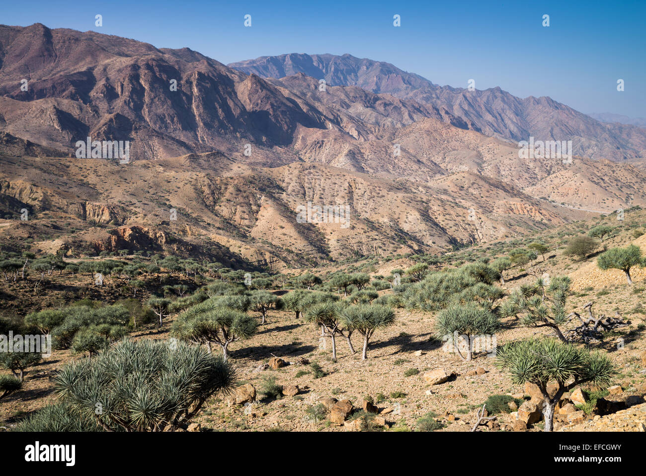 Ethiopian terrain hi-res stock photography and images - Alamy
