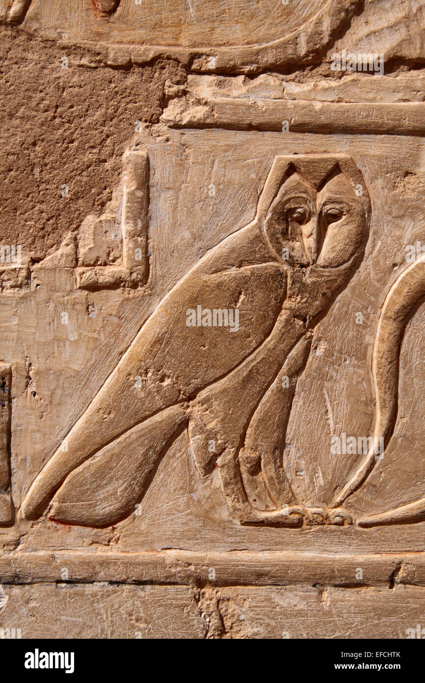 Owl heiroglyph in Queen Hatchepsut's Temple, West Bank of River Nile ...