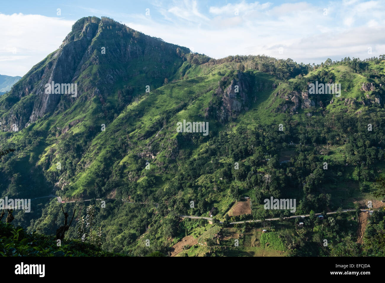 View of Adam's Peak as seen from top of Little Adam's Peak. green ...