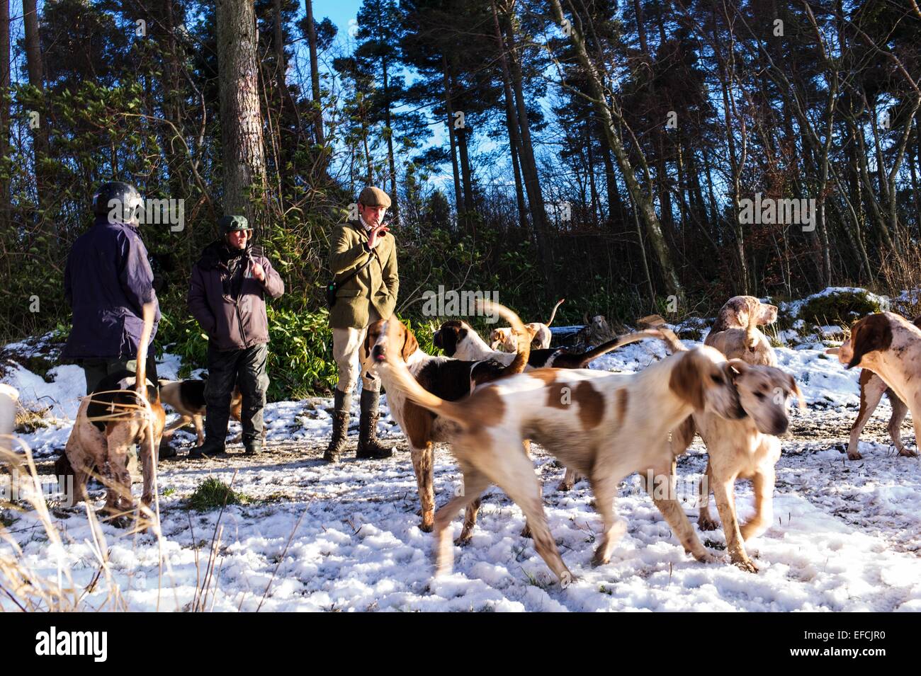 Johnny Richardson High Resolution Stock Photography and Images - Alamy