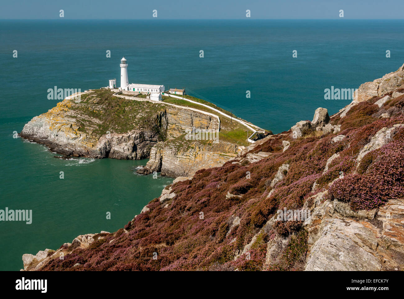 South Stack Lighthouse, Anglesey Stock Photo - Alamy